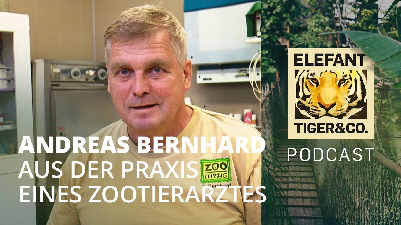 ETC Podcast - Andreas Bernhard: Herr Doktor, der Patient frisst nicht! - YouTube
