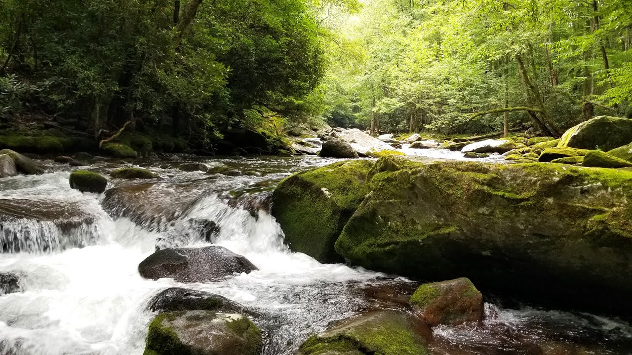 GoPro Little River Trail Smoky Mountains Gatlinburg area Tennessee USA ...