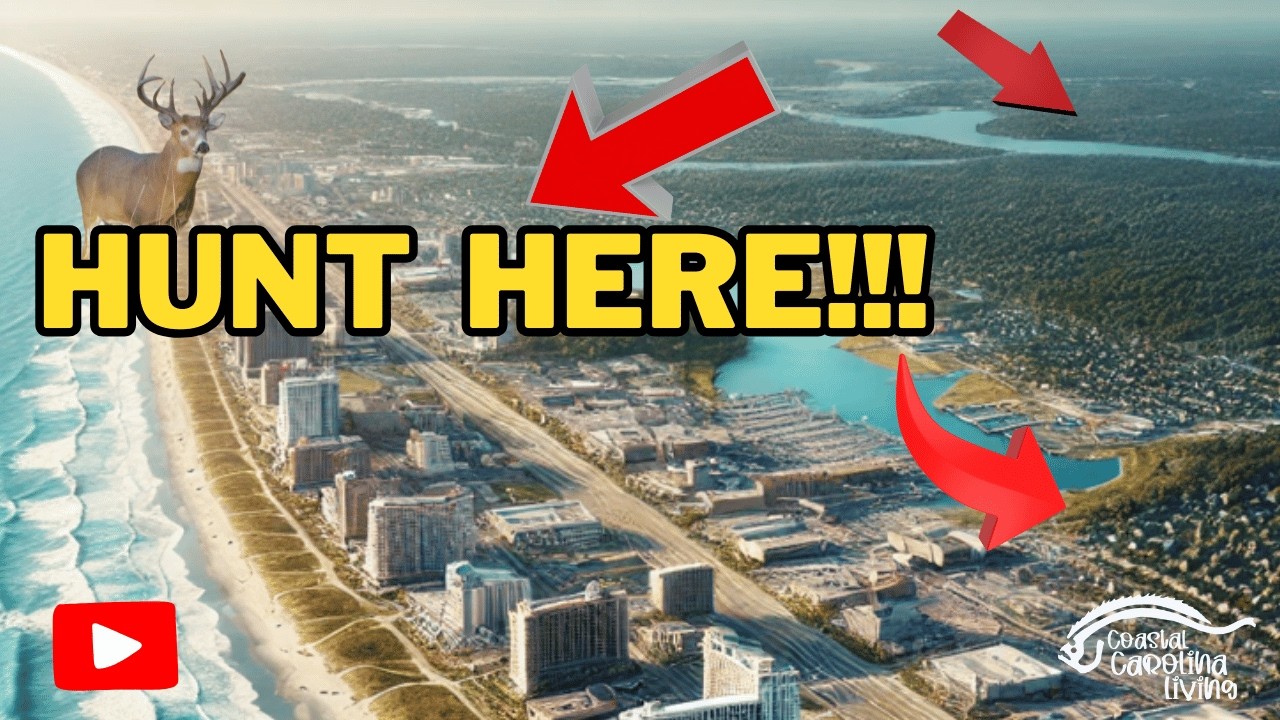Where to Go Hunting in Myrtle Beach?! - YouTube