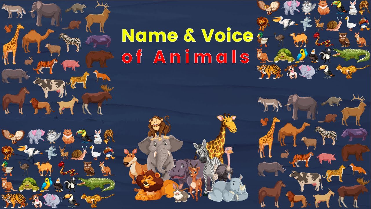 Learn animals names with sounds for kids - YouTube