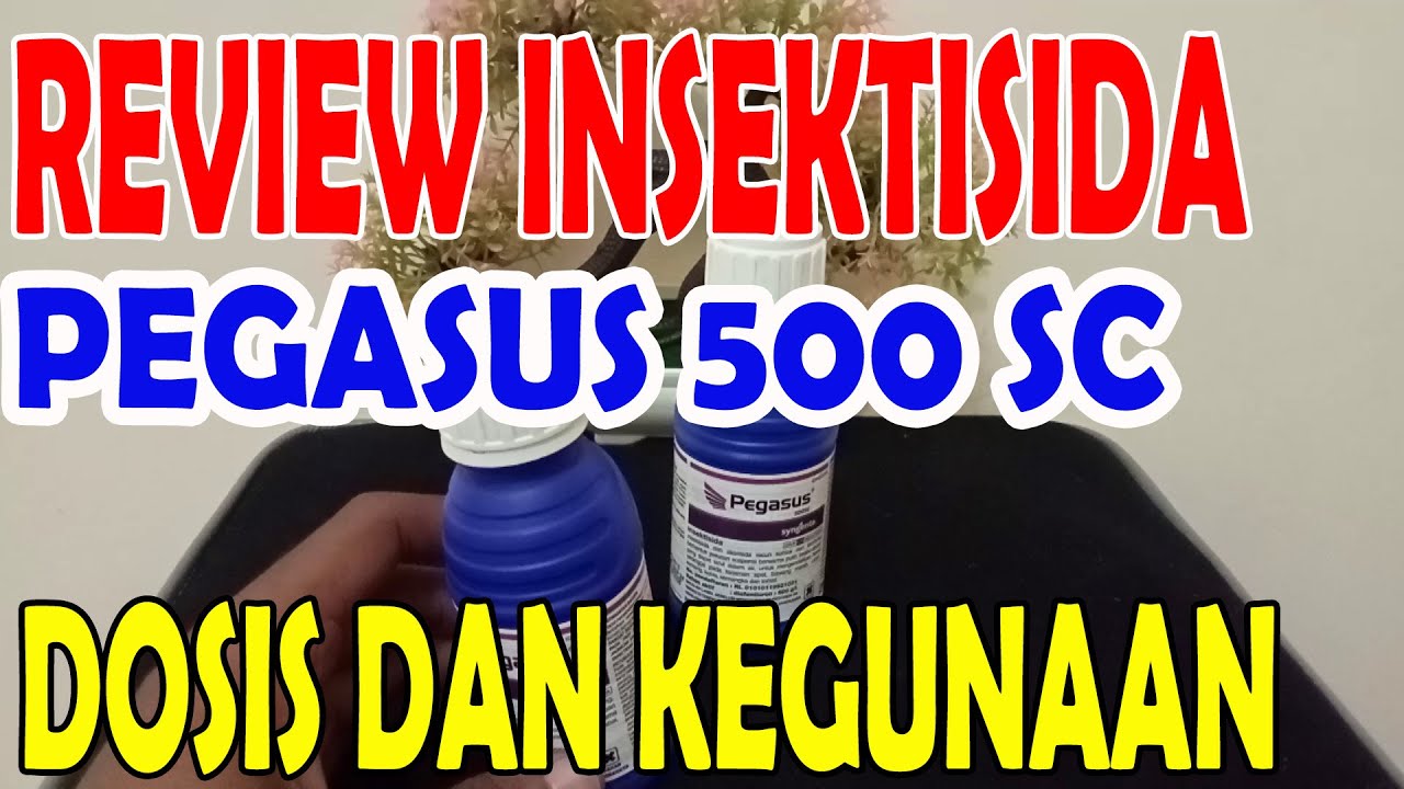 REVIEW INSEKTISIDA PEGASUS 500 SC-DOSIS DAN KEGUNAAN - YouTube