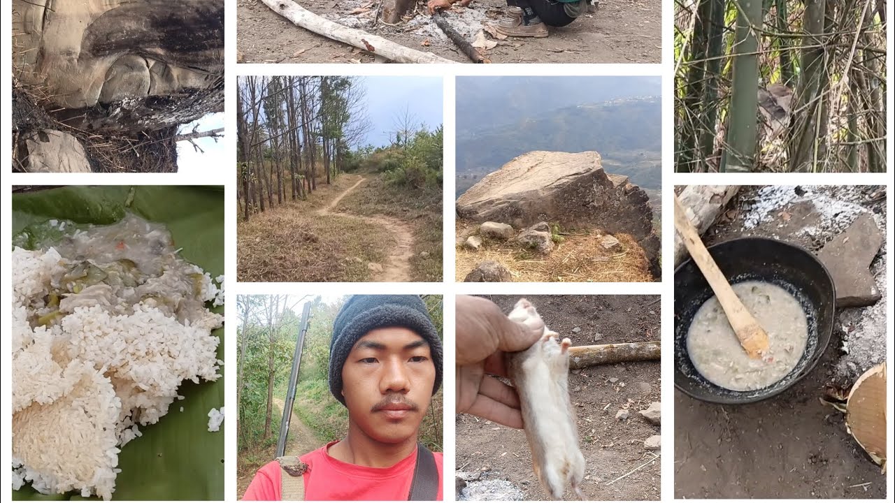 bumboo cutting field@Village life #MK vlog Hozu: - YouTube