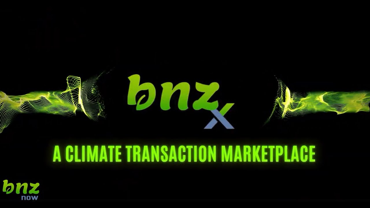 BNZ X Teaser - YouTube