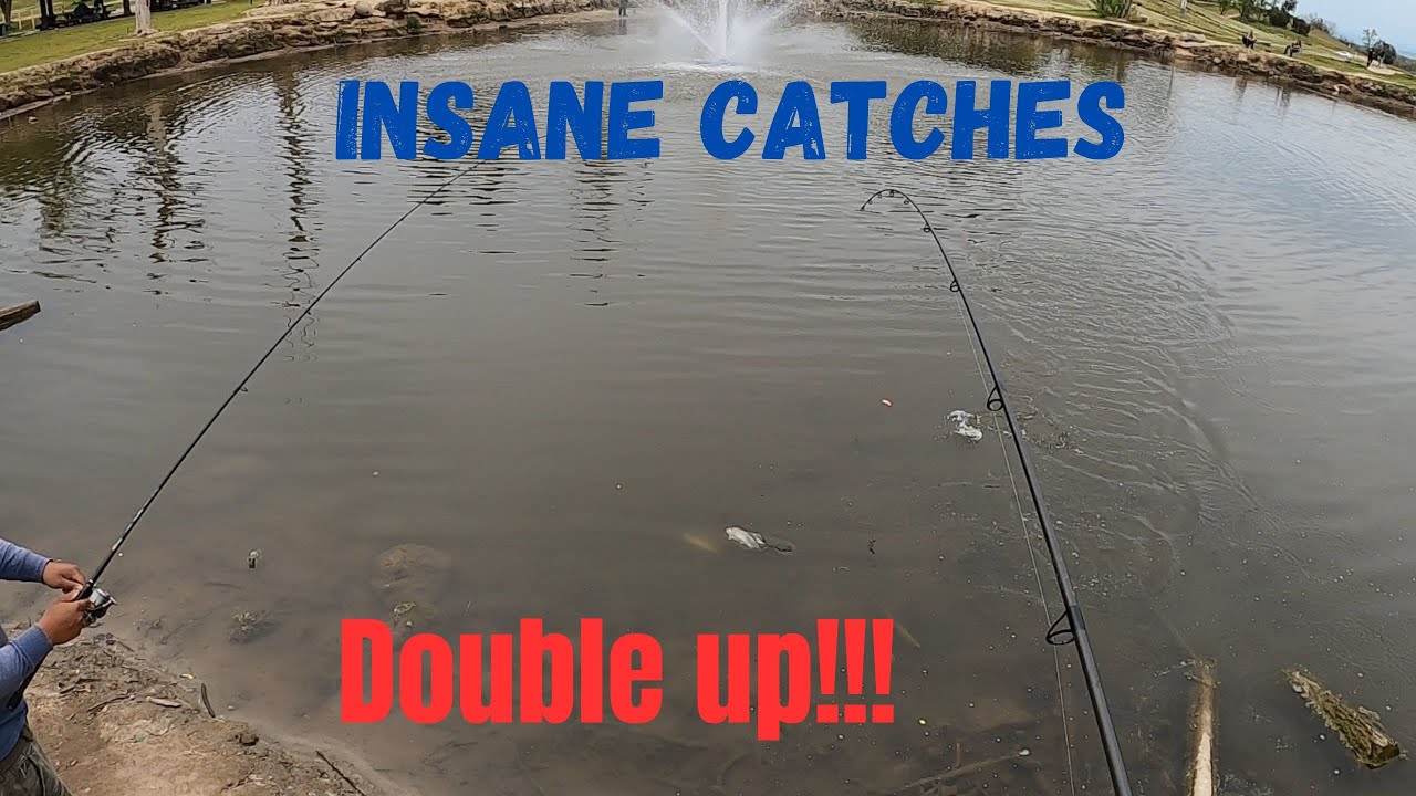 Trout Fishing in the Pond 🔥 🔥 🔥 [Insane catches] - YouTube