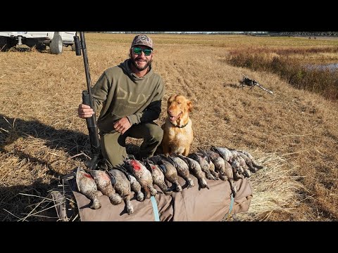 Duck Hunting a Small Farm Pond Like Fish in a Barrel!! Limited Out ...