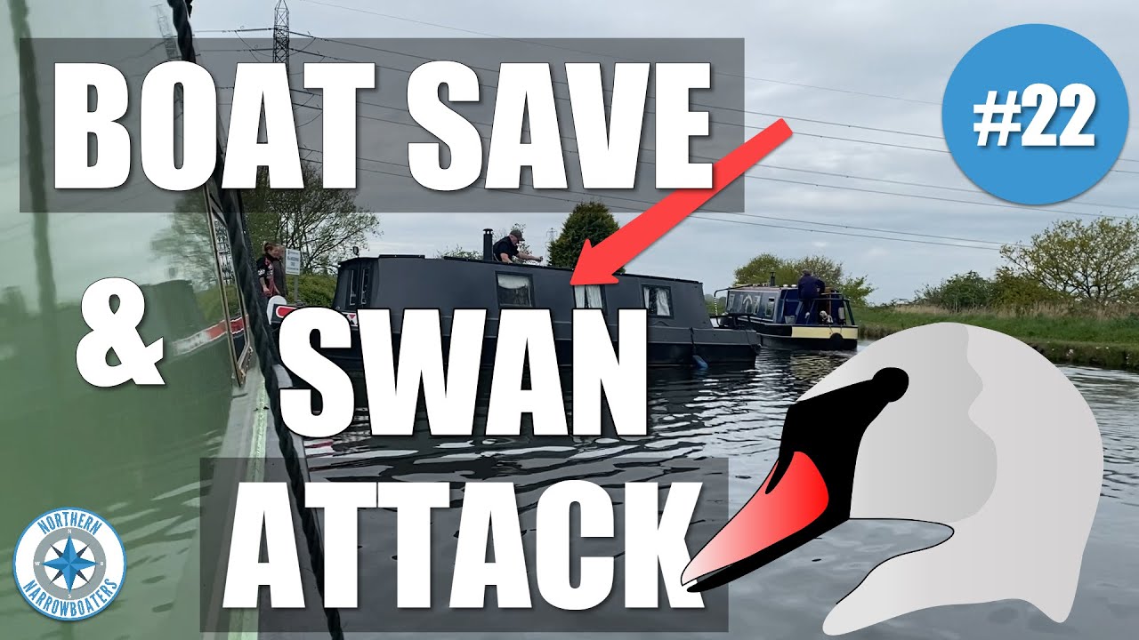 NARROWBOAT Attack | #22 We Rescue A Boat | Aggressive Bird | Boatlife ...