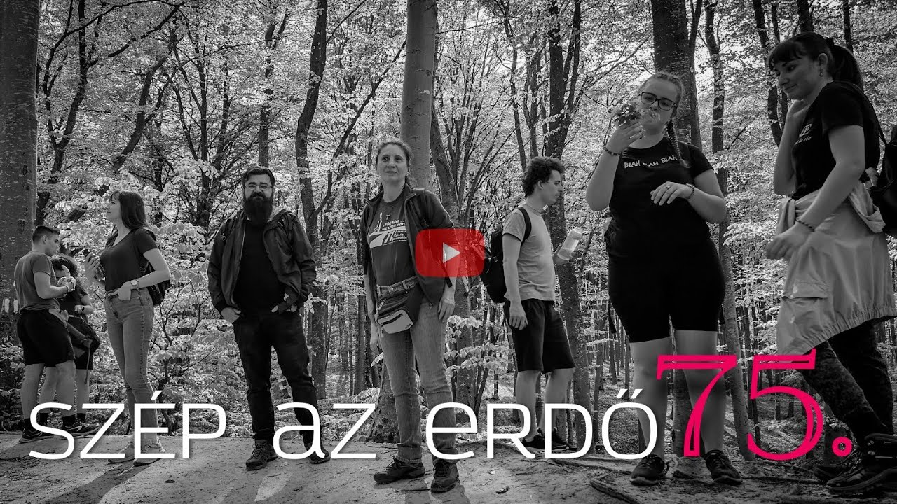 Szép az erdő 75. + 42. Zsoltár #szepazerdoTau - YouTube