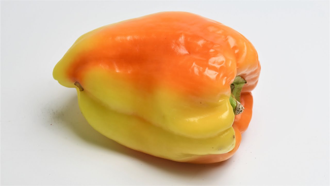 Pepper timelapse - YouTube