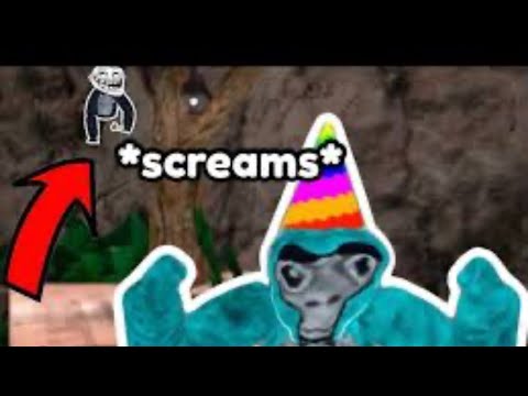 Funny Gtag memes for 30 minutes!! - YouTube