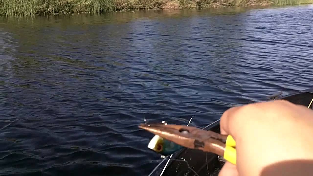 XCalibur XRK50 Lipless Crankbait Blue Shiner 8-21-11 - YouTube