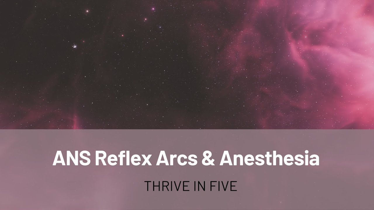 Thrive in 5: ANS Reflex Arcs & Anesthesia - YouTube