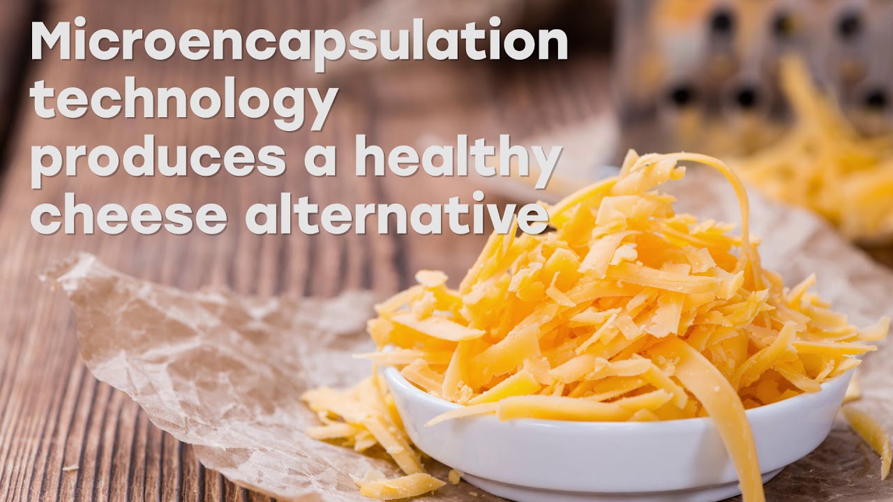 How can science make cheese healthier? - YouTube