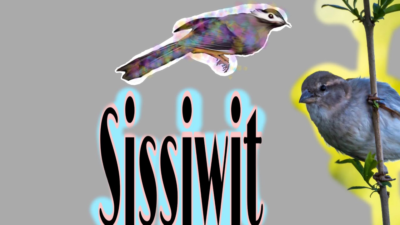 SISSIWIT IGOROT SONG - YouTube