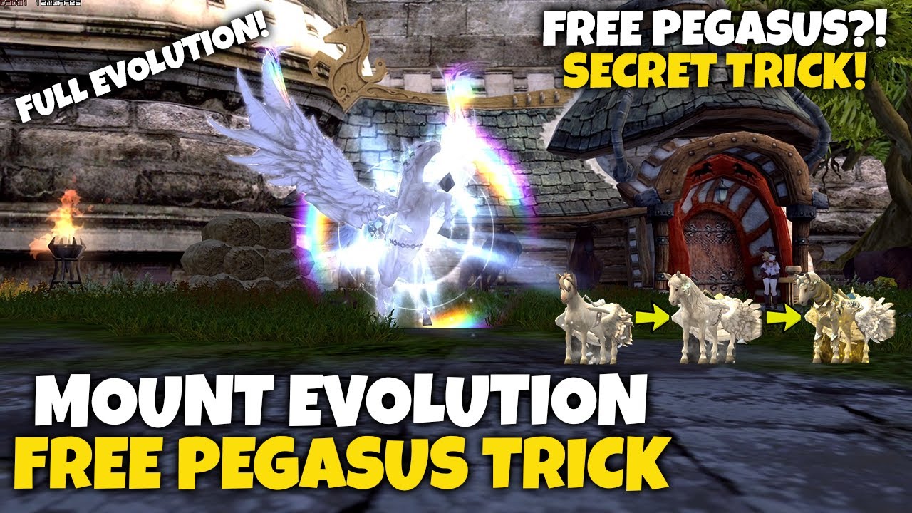 FREE PEGASUS Trick! Full Mount Evolution Guide | Dragon Nest Classic - YouTube