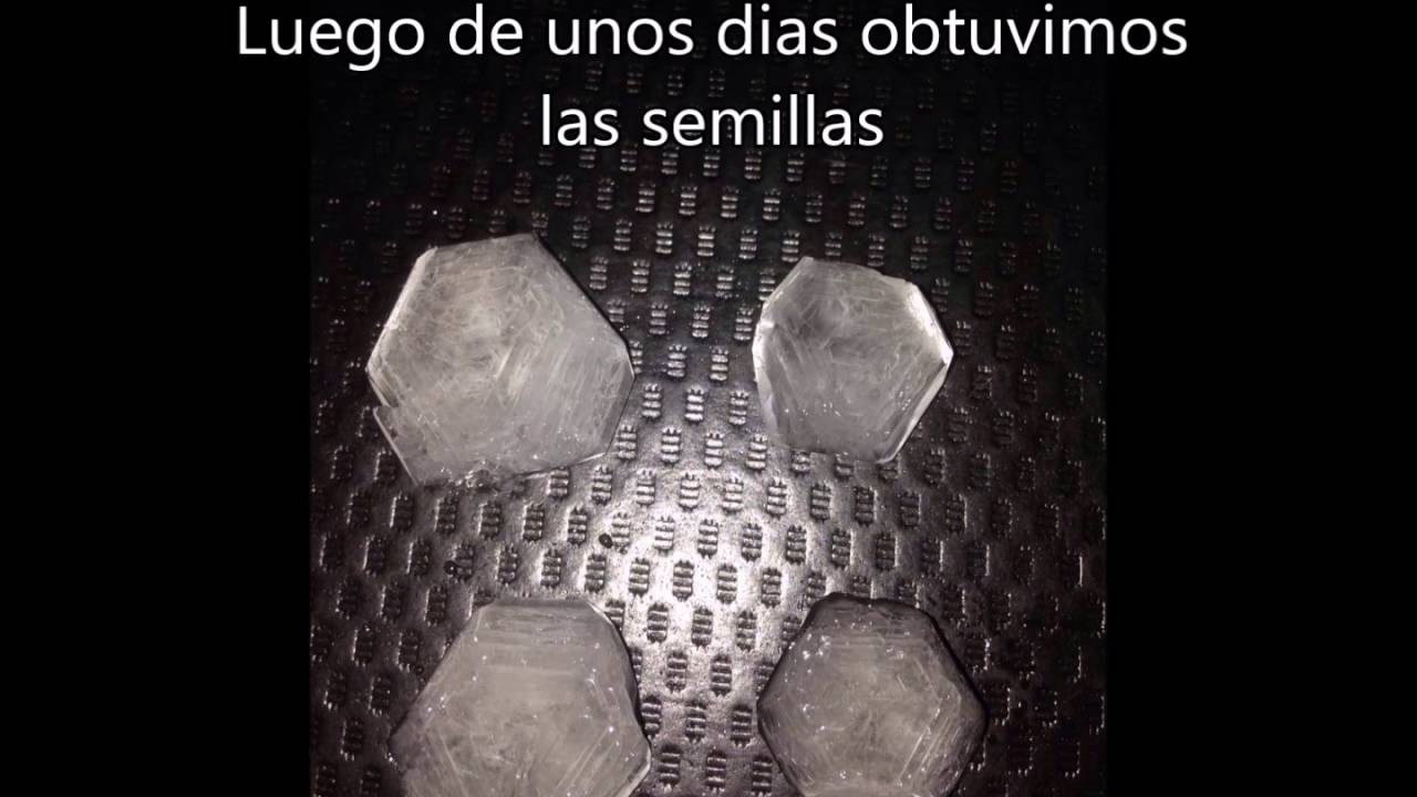 Cristalización de alumbre de potasio - YouTube