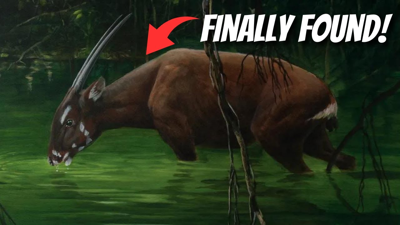 Animals Thought to Be Extinct for Millions of Years Came Back! - YouTube
