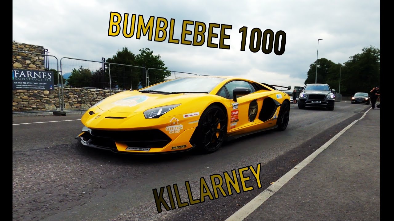 Cars Arriving & Leaving Bumblebee 1000 | Killarney 2021 - YouTube