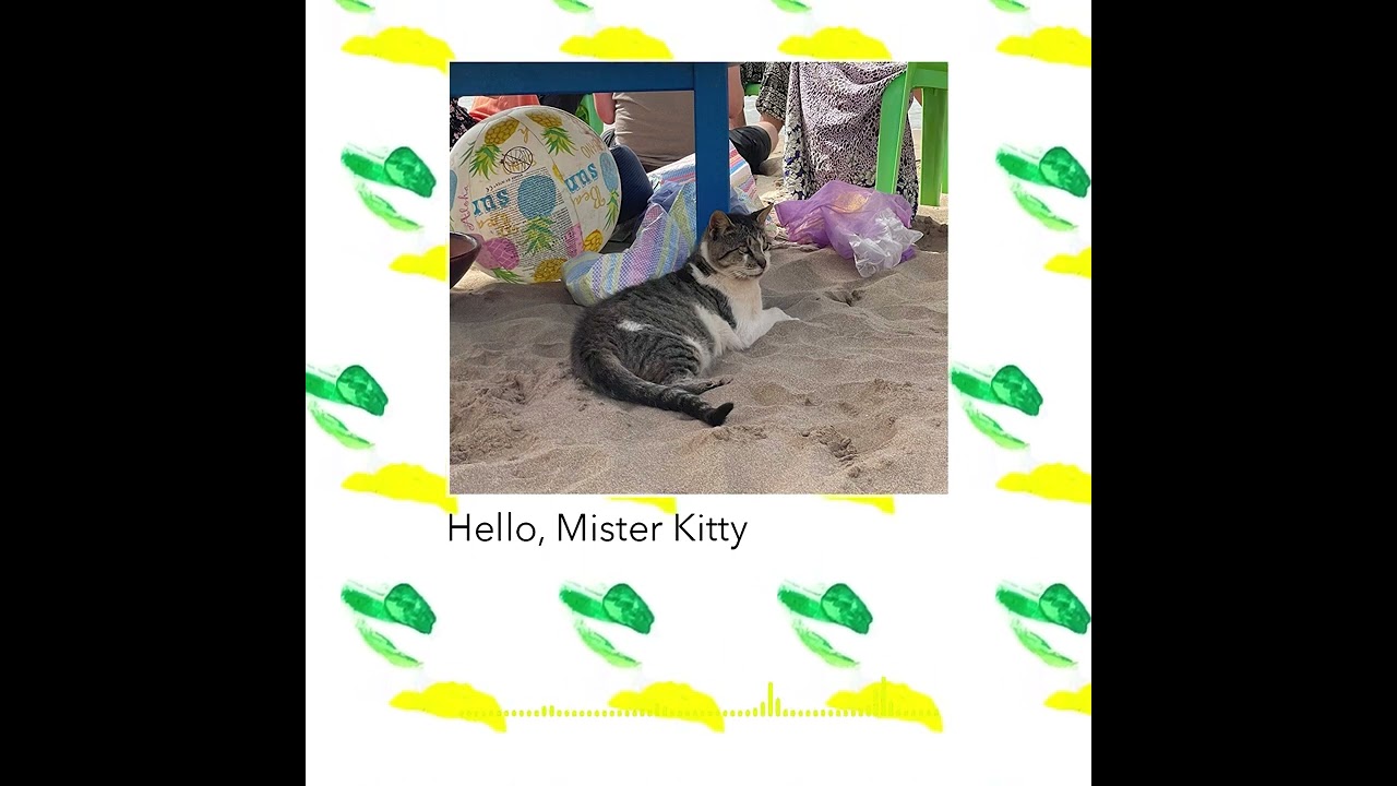 Hello, Mister Kitty - YouTube