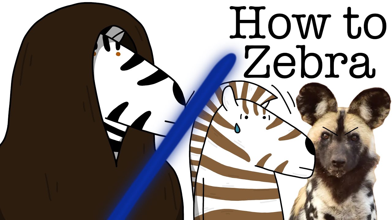Your Life as a Zebra - YouTube
