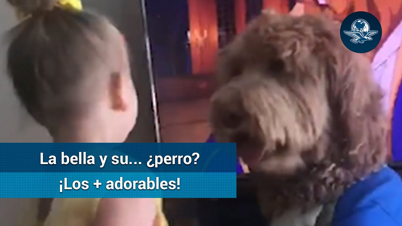 La bella y su... ¿perro? ¡Los videos más divertidos y adorables de la ...
