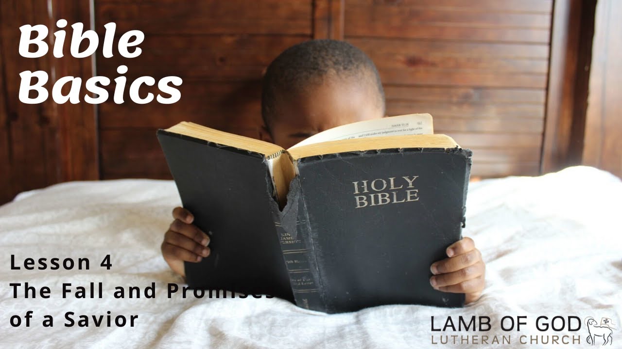 Lesson 4: The Fall and Promises of a Savior - YouTube