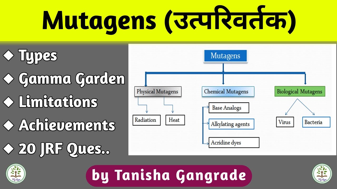 Mutagen | Molecular basis of inheritance | Chemical and Physical ...