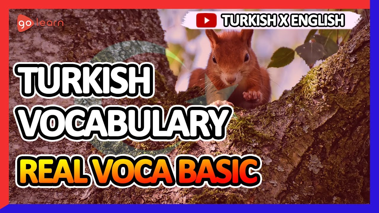 Learn Turkish |Part 6: Turkish Vocabulary Real Voca Basic | Golearn - YouTube
