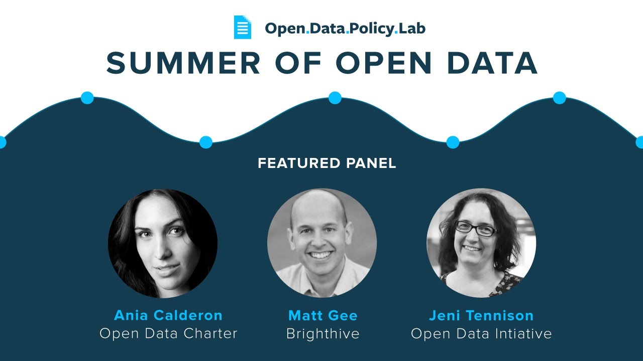 Summer of Open Data Kickoff Panel with Ania Calderon, Matt Gee, and ...