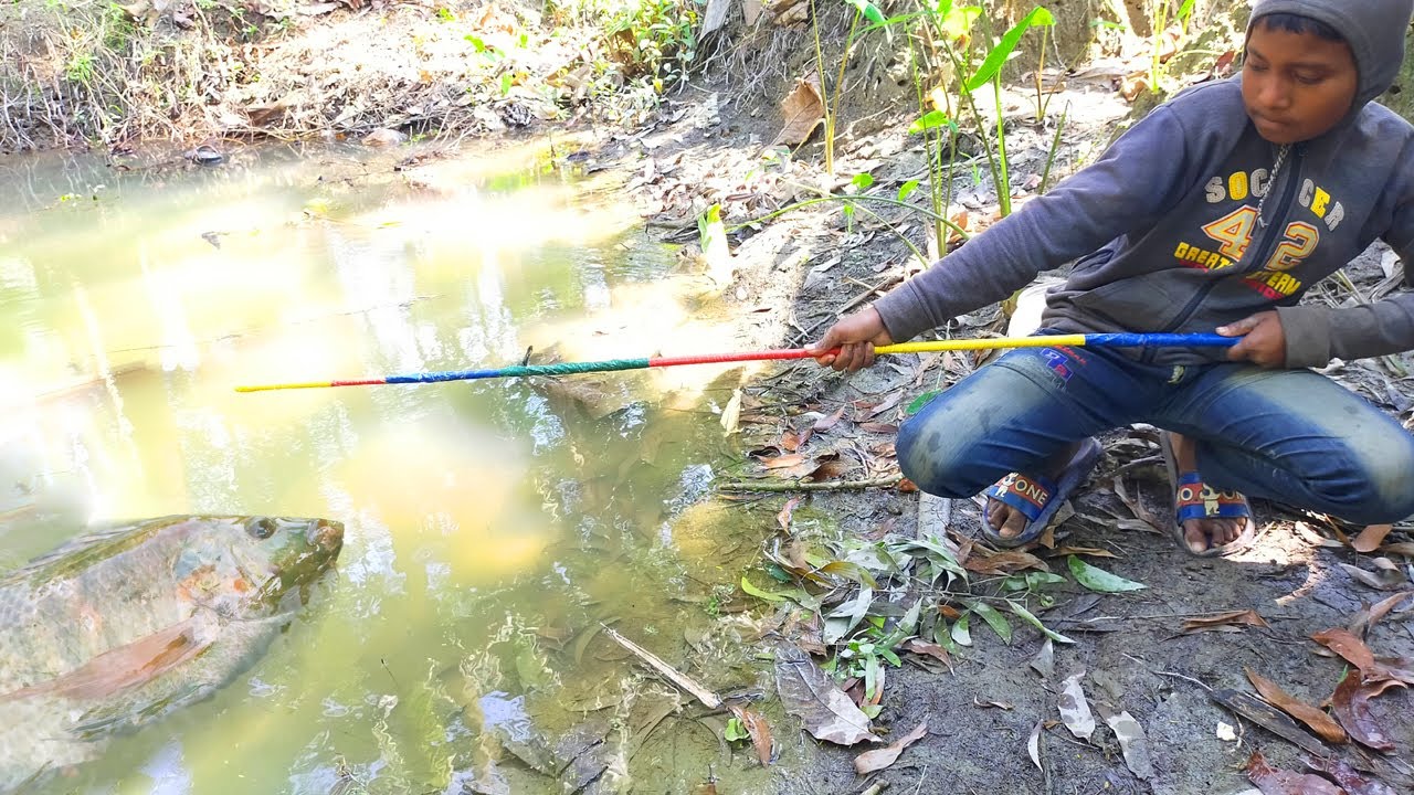 Amazing Hook Fishing🎣Unbelievable Hook Fishing Video🎏Village Best ...