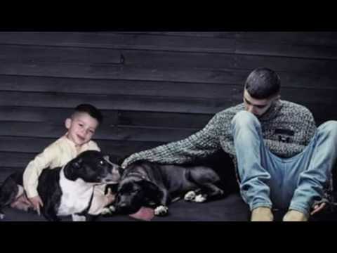 ZAYN (MIND OF MINE) intro