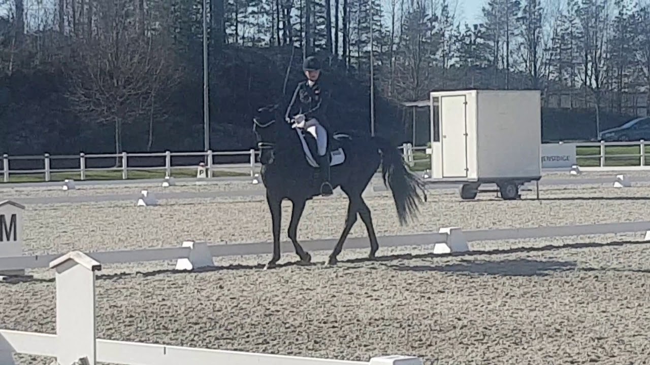 Thea og Pia Pia Inter 1 Epona - YouTube