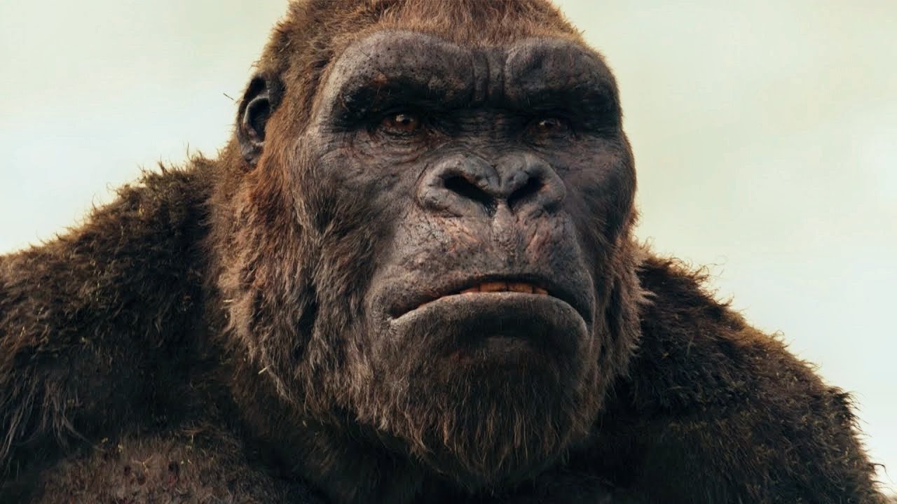 KONG: SKULL ISLAND (2017) Movie Clip 4K - Kong Saves Giant Buffalo ...