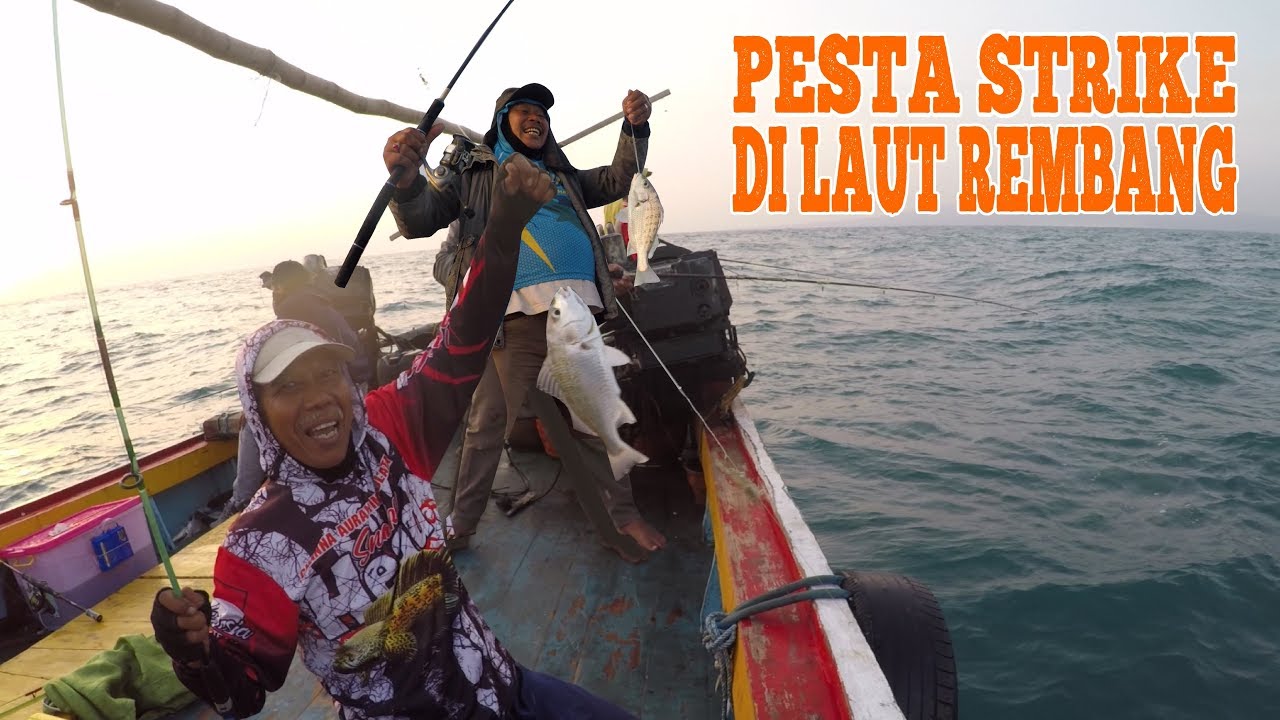 PESTA STRIKE ! Cara Jitu Mancing Ikan Gerot, Kakap Tompel, & Kerapu Di ...