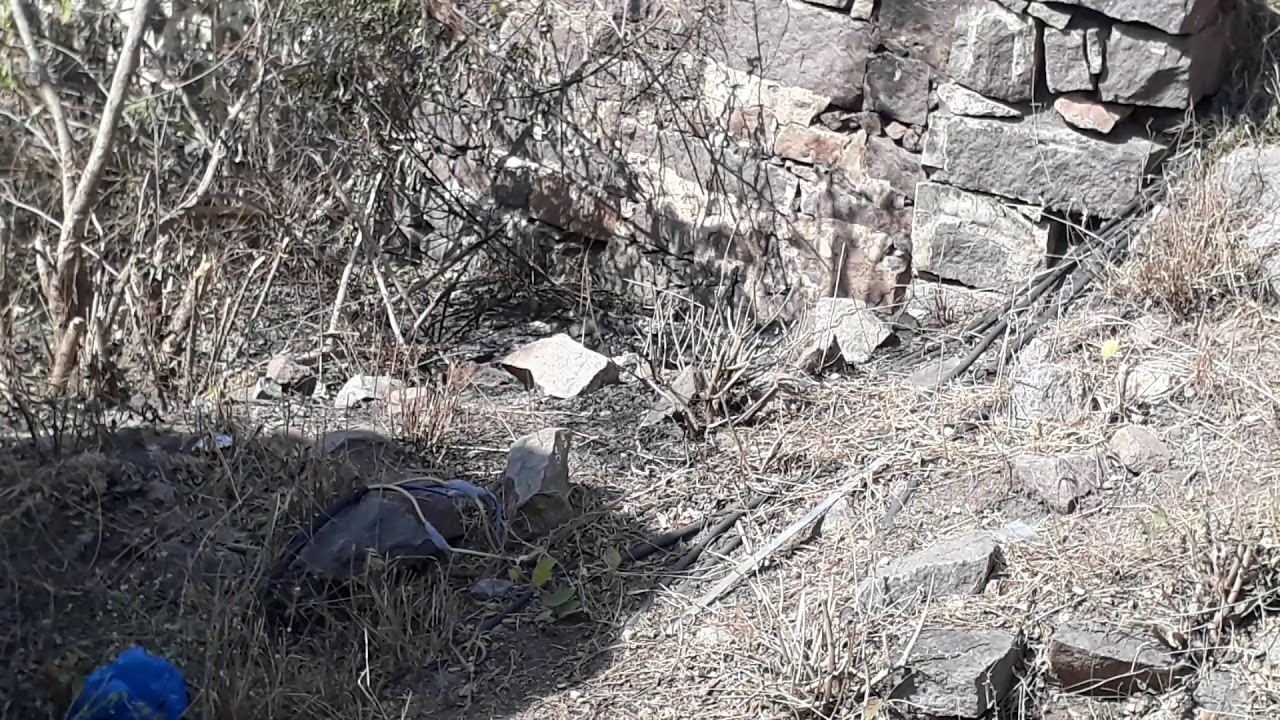 Golconda Fort Chandra Bora Snake গোলকোন্দা ফোর্ট চন্দ্রবোড়া সাপ ...