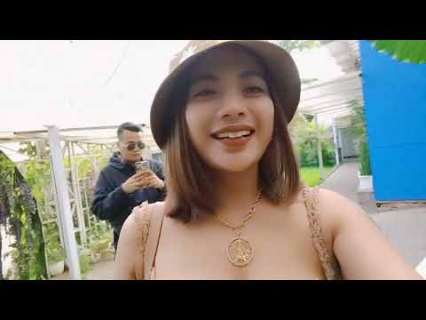 vio kitty liburan ke mana coba ?