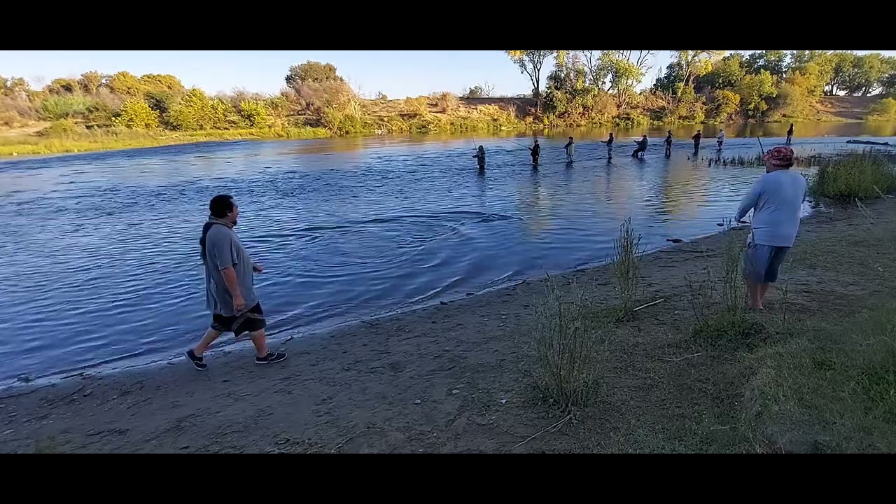 salmon fishing | flossing on the American River - YouTube