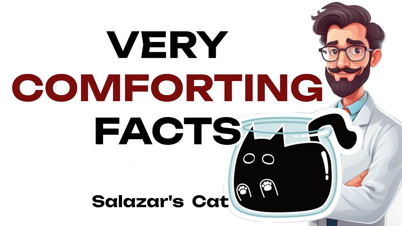 VERY COMFORTING FACTS - YouTube