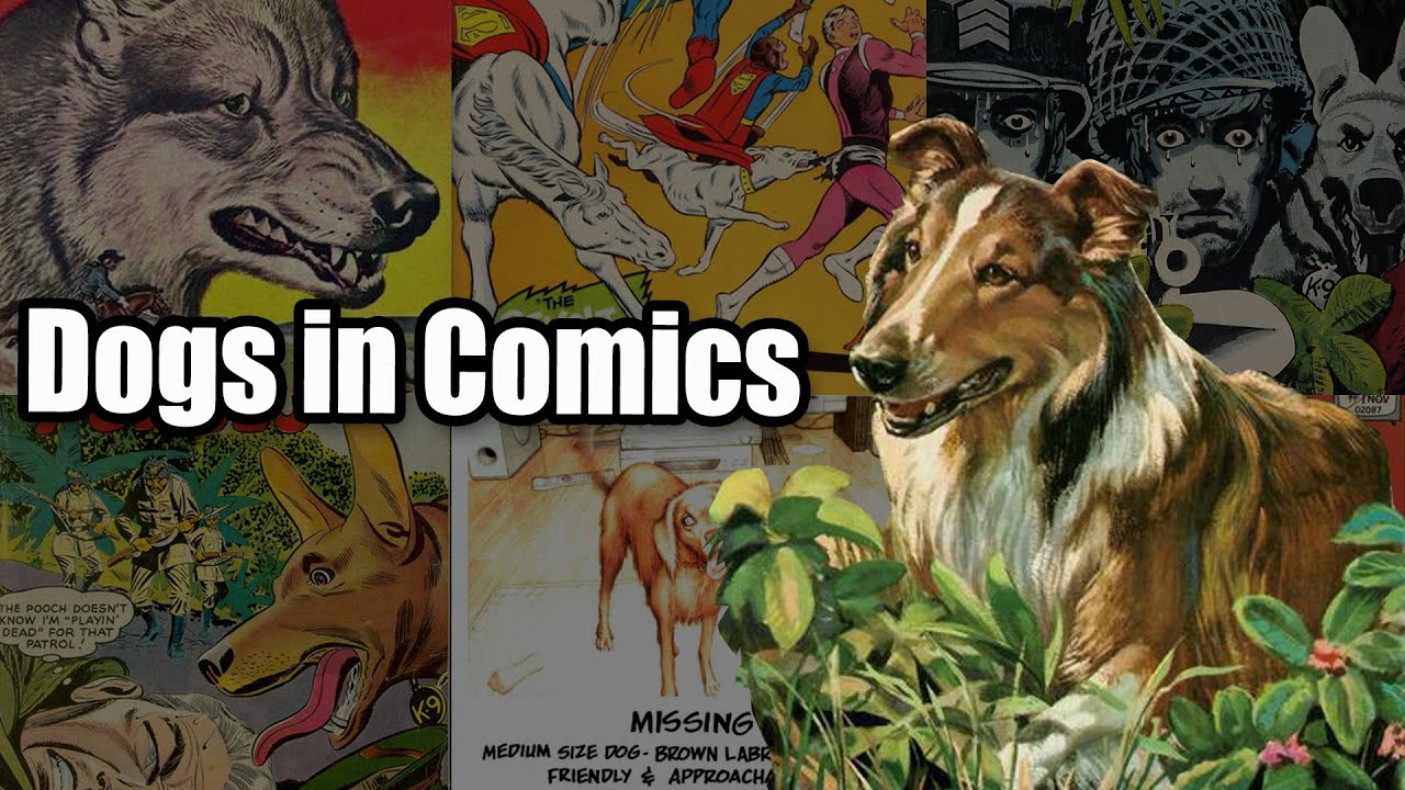 Top 10 Dog Covers in my Comic Book Collection #fridaycomicchallenge ...