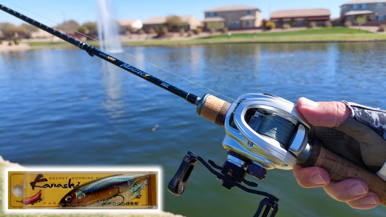 Fishing for Rainbow Trout and Largemouth Bass Using My New BFS Setup ...