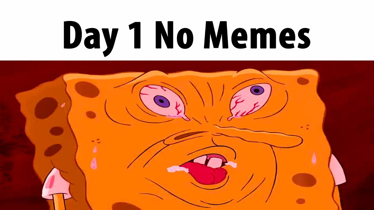 Day 1 No Memes - YouTube