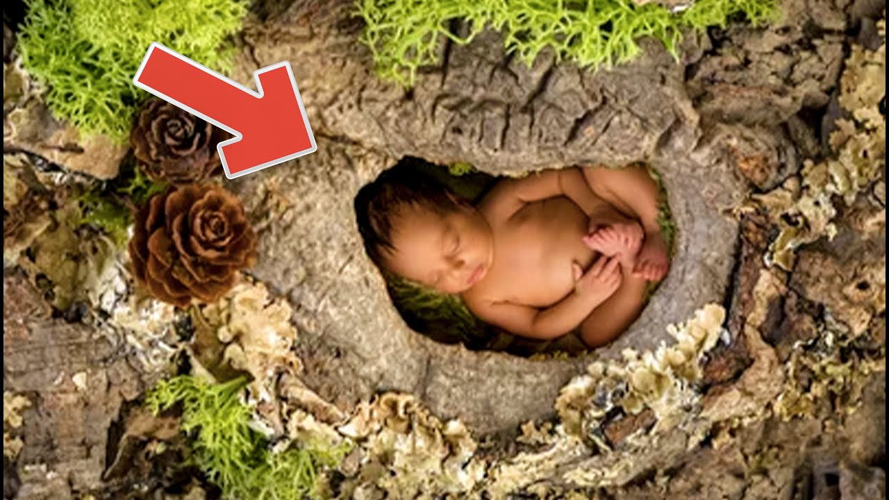 Baby Born In Tree With Incredible Rescue! - YouTube