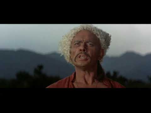 Taras Boulba Film de 1962 Avec Yul Brinner et Tony Curtis