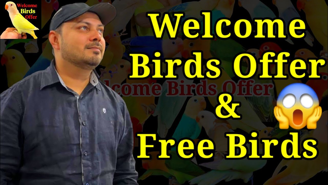 Welcome Birds Offer & Free Birds || Welcome Aviary || New birds price ...