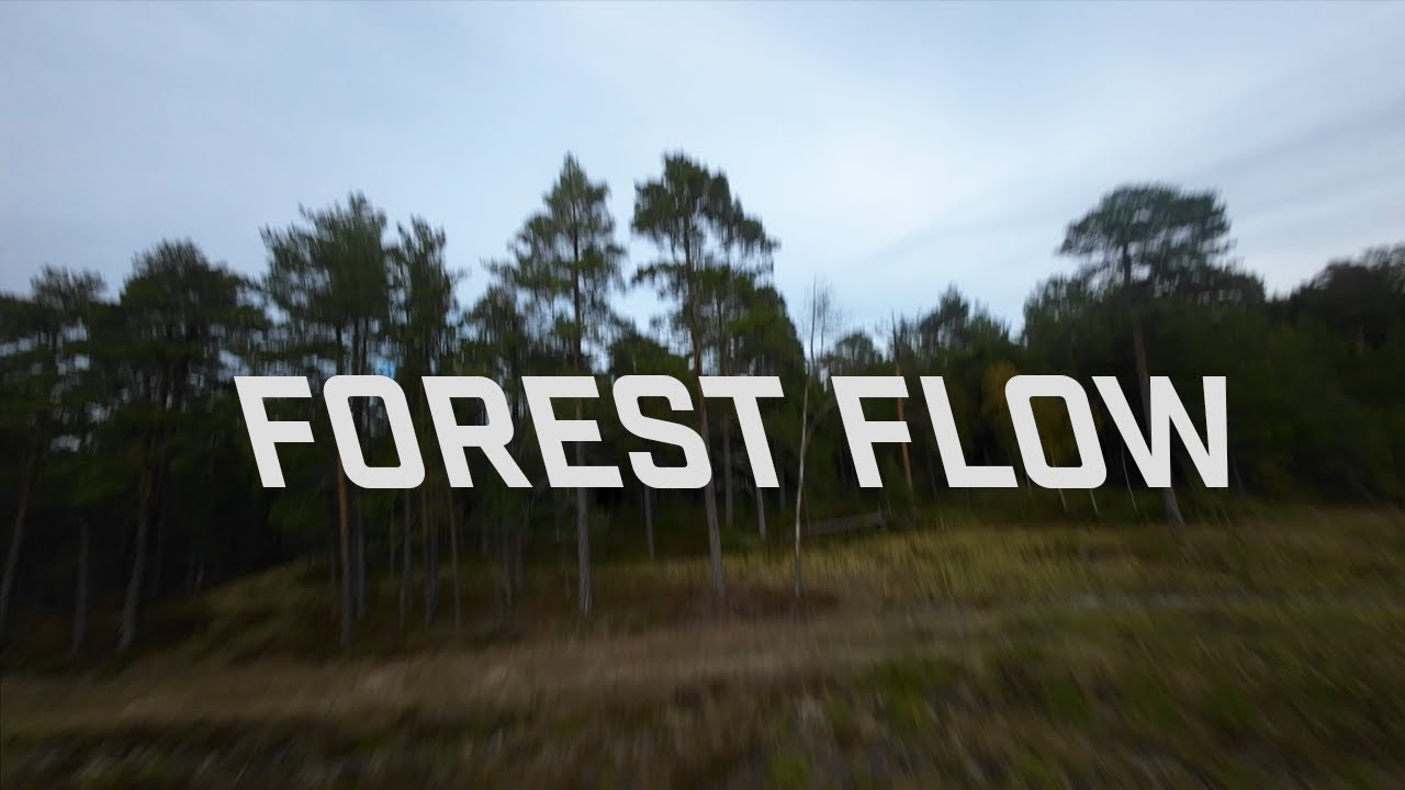 Unstabilized Forest Flow - FPV Freestyle - YouTube