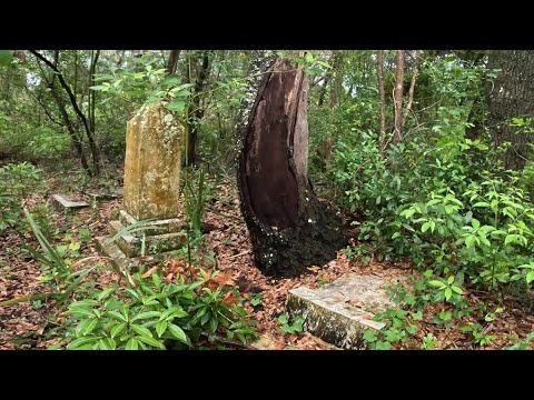 The Forgotten Braddock-Mason-Denver Cemetery Deep in the North Florida ...