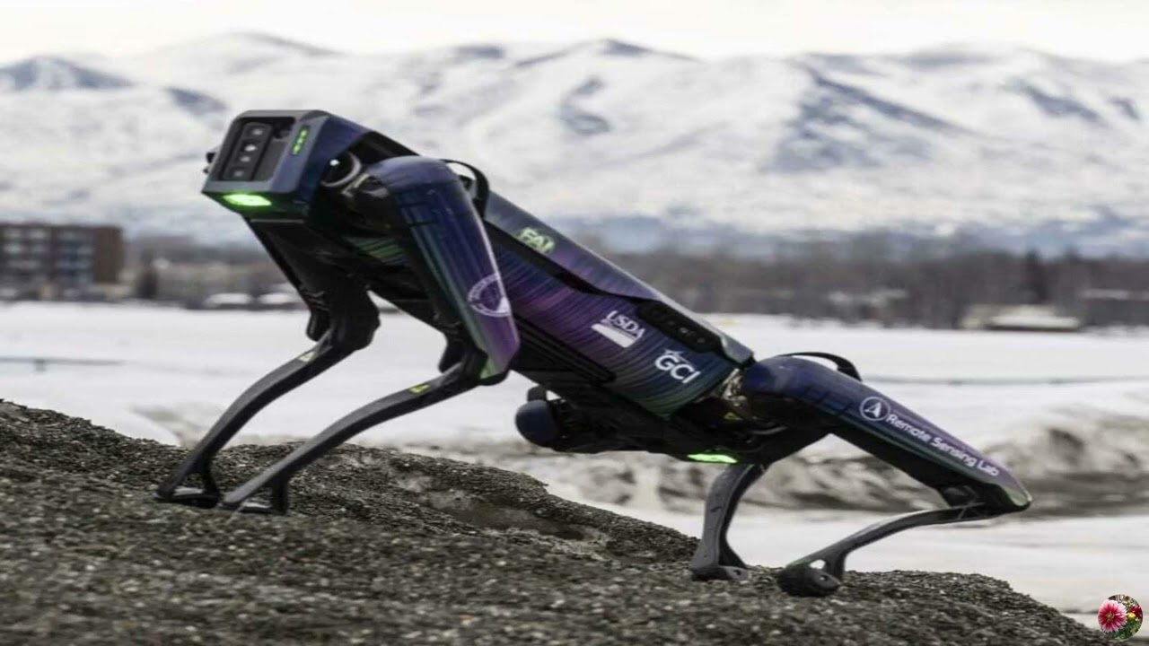 Alaska Introduces Aurora: The New Runway Guardian Robot to Prevent ...