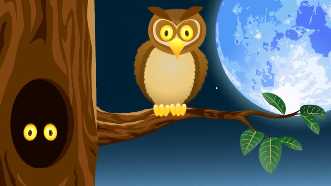 RatBand - Kids Cartoon Singing Rats - YouTube