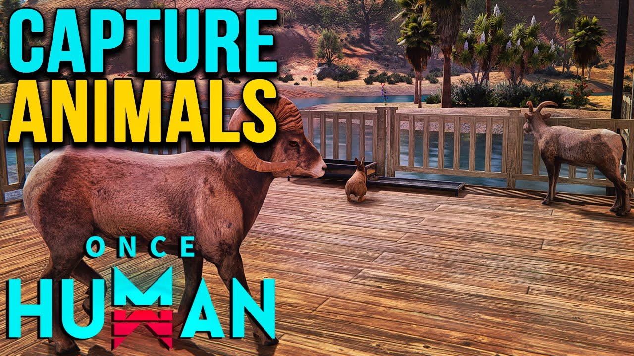 How to Capture Animals in Once Human - YouTube