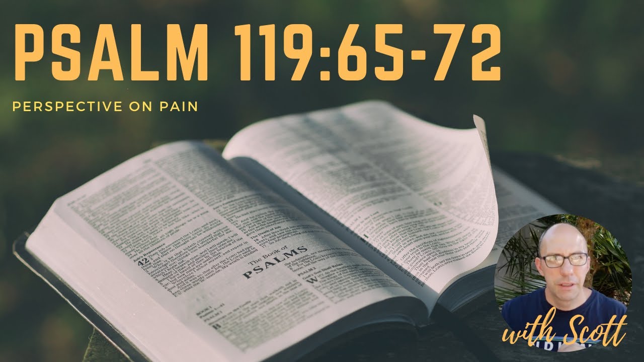 Psalm 119:65-72: Perspective on Pain. - YouTube