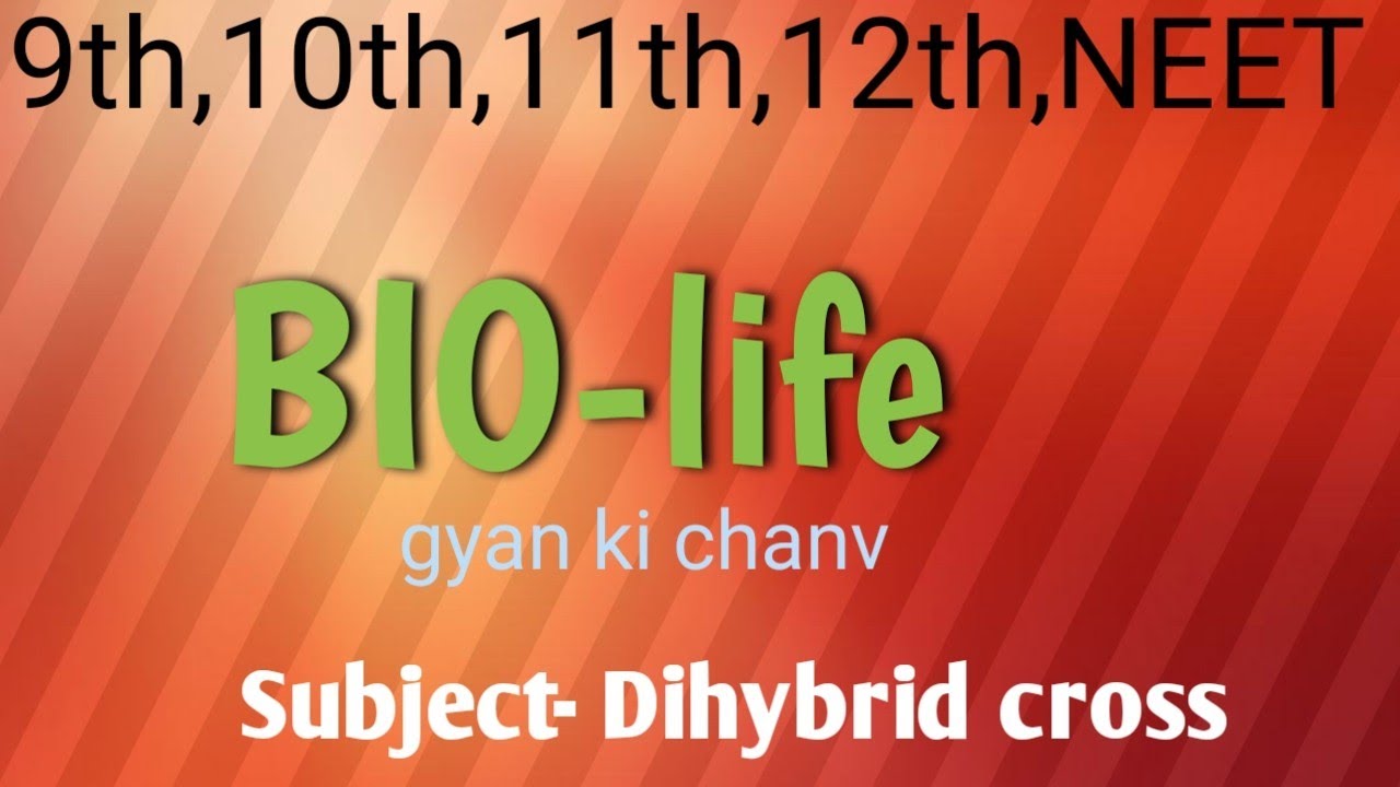 Dihybrid cross||Genetics||inheritance &variance@Biolife - YouTube